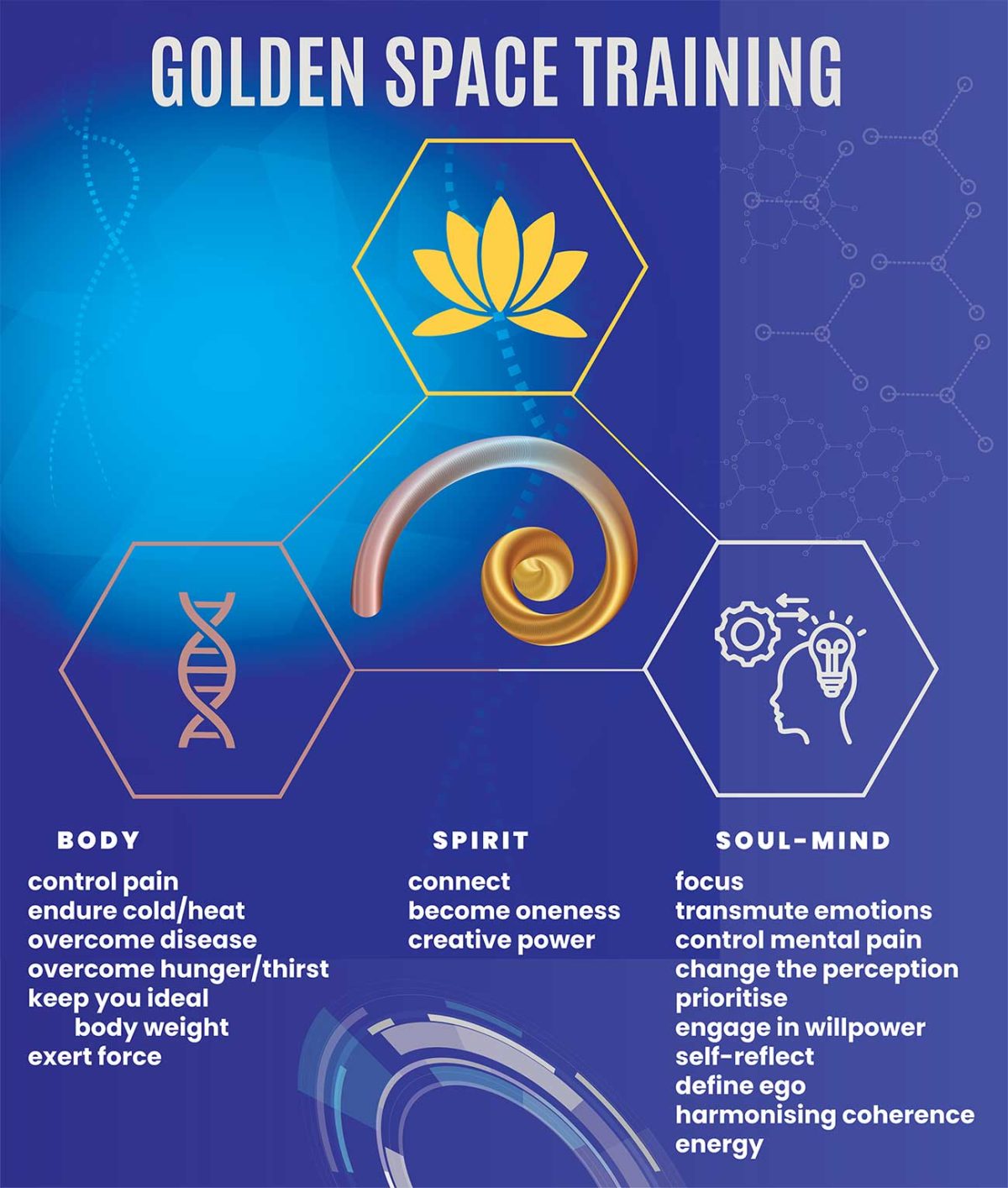 Golden Space Training - Bodyharmonix